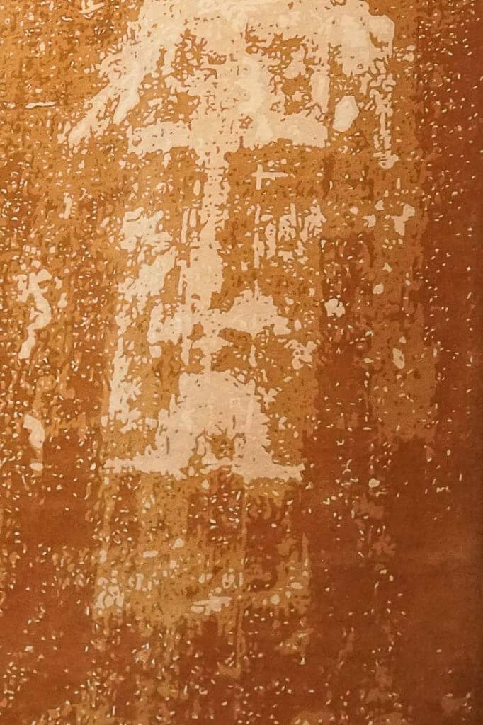 The Shroud of Turin: authenticity, facts, DNA and how to visit it - The ...
