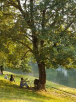 Weather in Turin: Seasons, Events and Travel Tips for Every Month - The ...